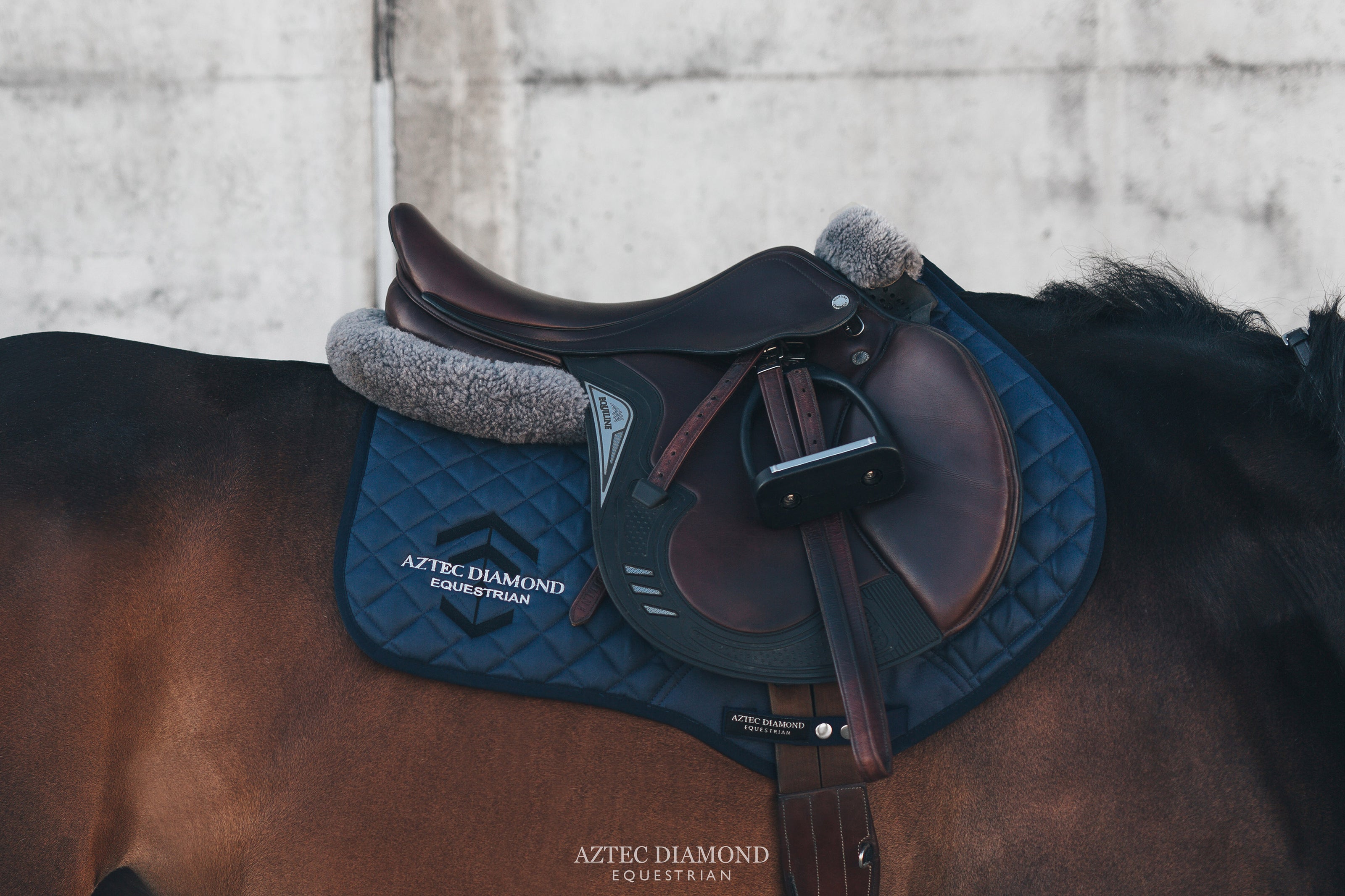 Aztec Diamond launch their first horse wear range!